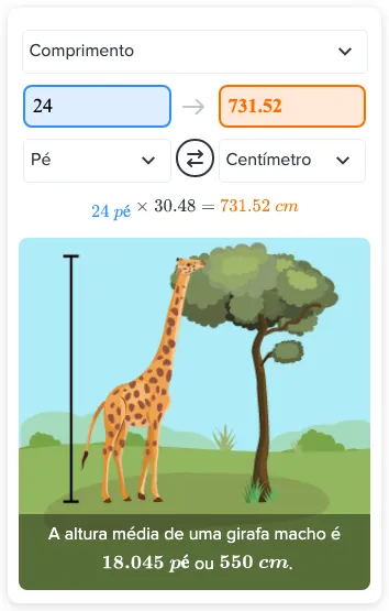 Respostas do Flexi - Quantos centímetros equivalem a 24 pés? | CK-12 ...