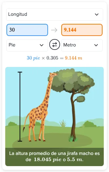 ¿Cuántos metros son 30 pies? - Método & pasos | CK-12 Foundation