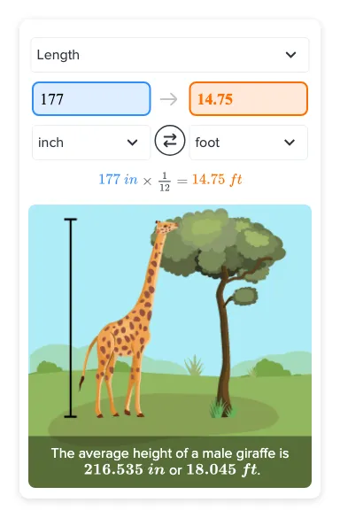 Flexi answers - How many feet are in 177 inches? | CK-12 Foundation