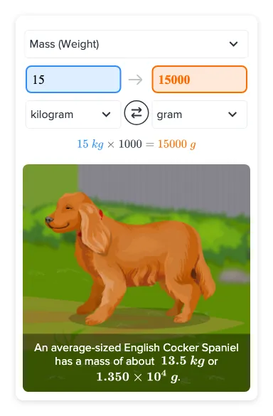 Flexi answers - What is the equivalent of 15 kilograms in grams? | CK ...