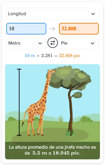 Convertir 10 metros a pies. - Método & pasos | CK-12 Foundation